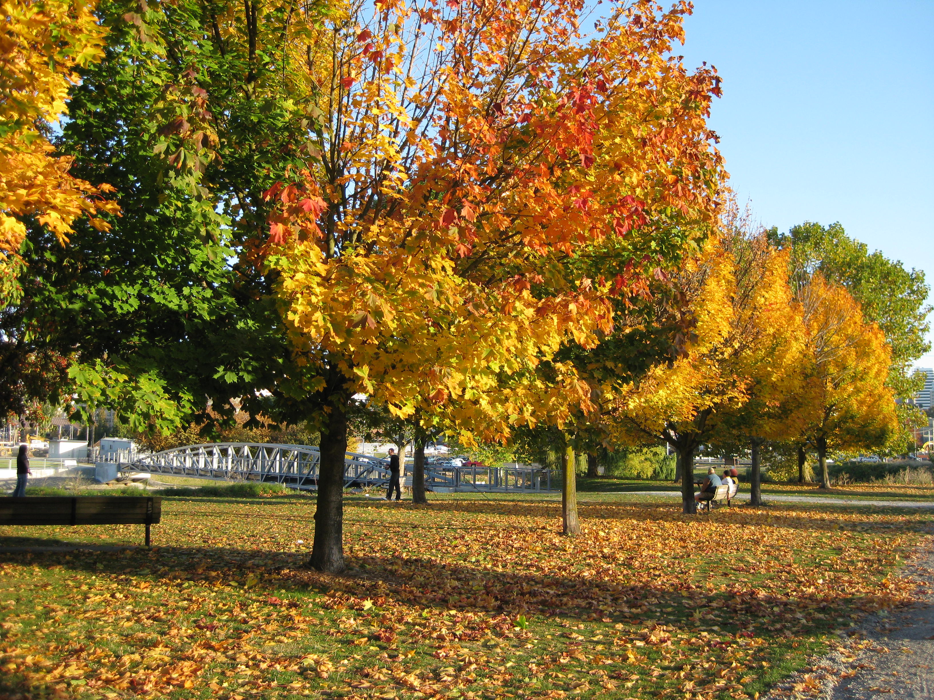Use These Prompts to Kickstart Your Autumn Writing Practice – The Regal ...